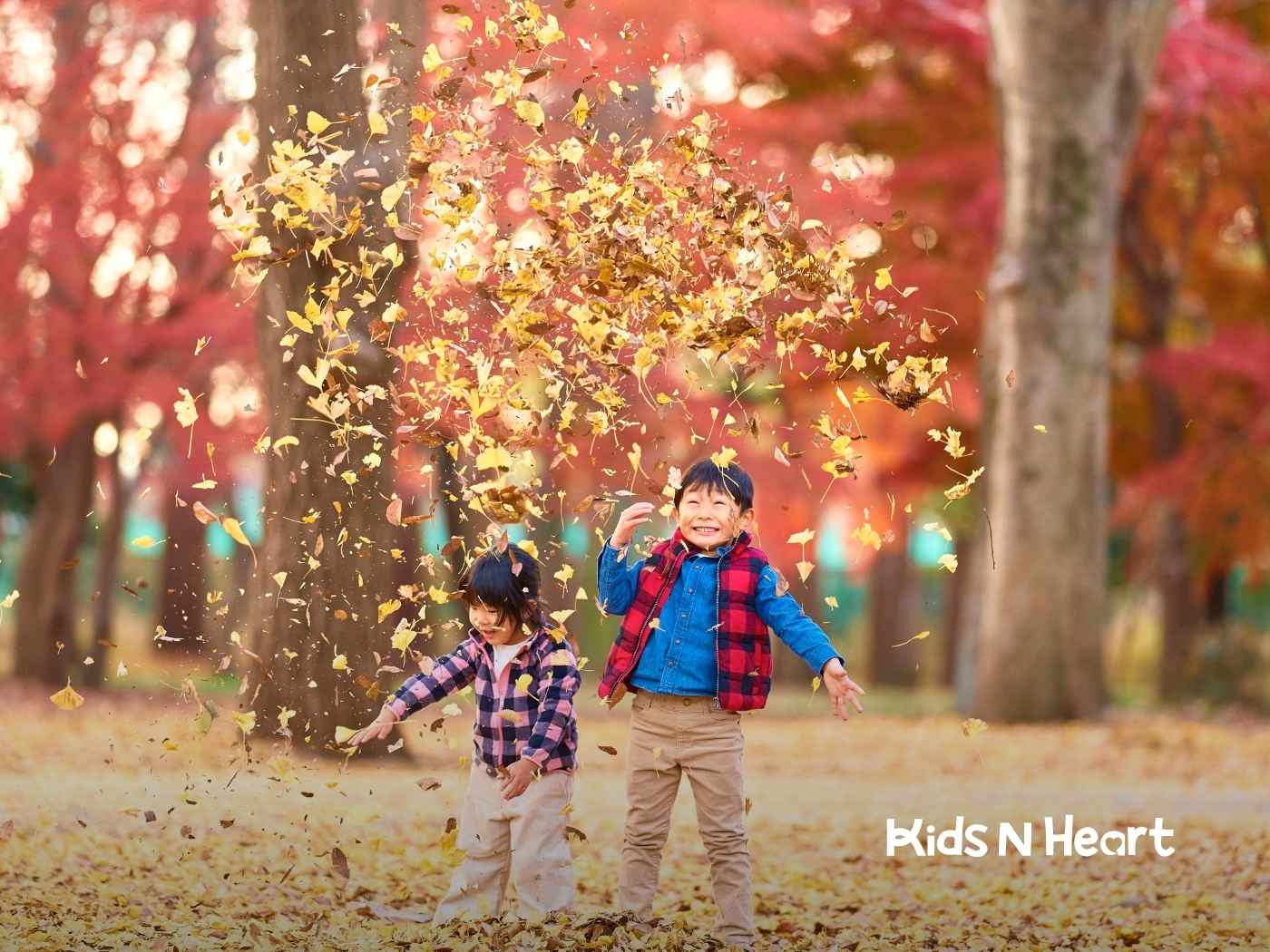 Urban vs Rural Autism Access in NC: 2025 Insights & Gaps - Kids N Heart
